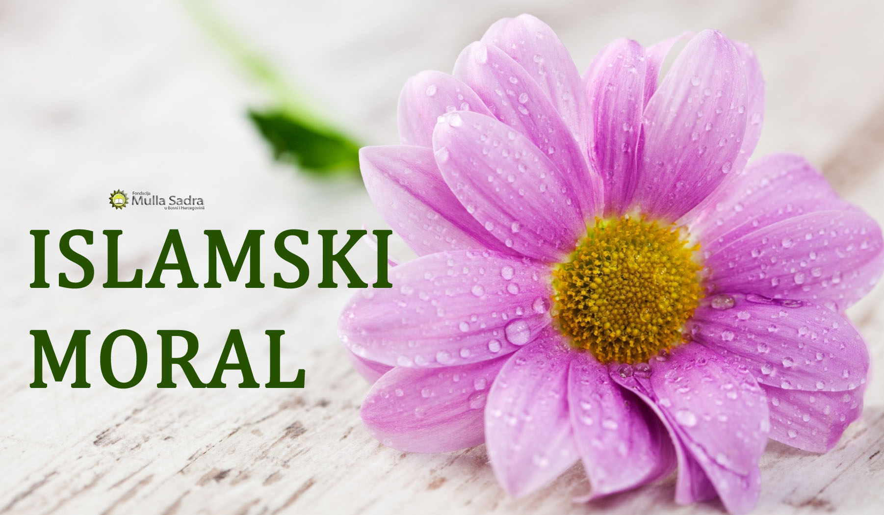 Islamski moral i njegove odlike - Fondacija Mulla Sadra