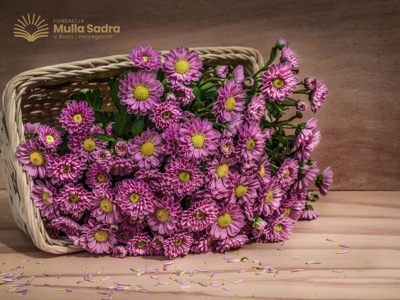 Miris - Fondacija Mulla Sadra